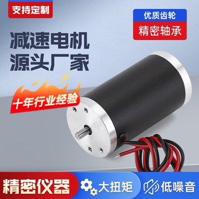 厂家直销ZYT4278双出轴电机12V/24V微型减速电机有刷直流电动机