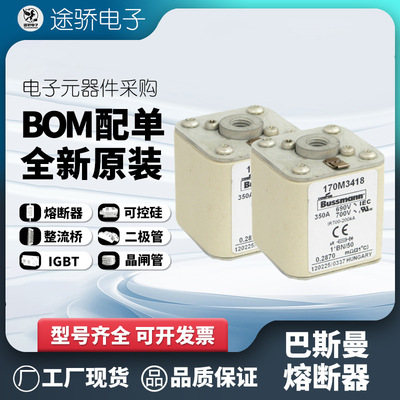 170M3420 170M3421 170M3422 170M3423 bussmann伊顿巴斯曼熔断器