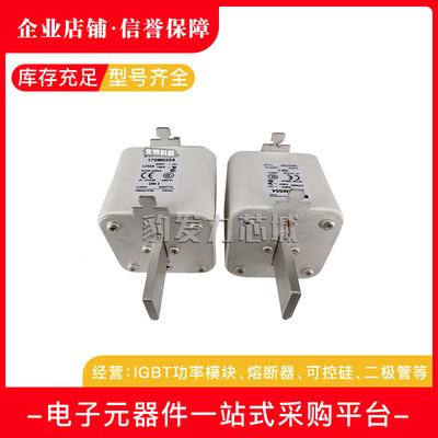 170M8600 170M8601 170M8602 170M8603 170M8604 170M8605熔断器