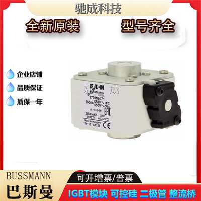 巴斯曼170M6482 170M6483 170M6484  低压保险丝诚信经营充足