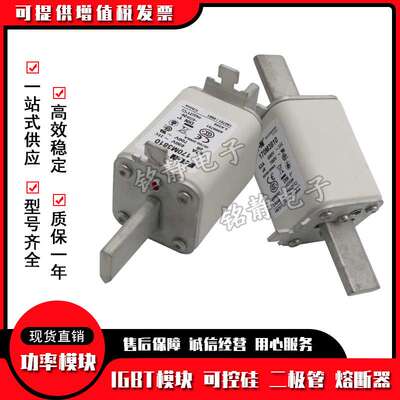170M3808 170M3809 170M3810 170M3811 170M3812熔断器170M3813