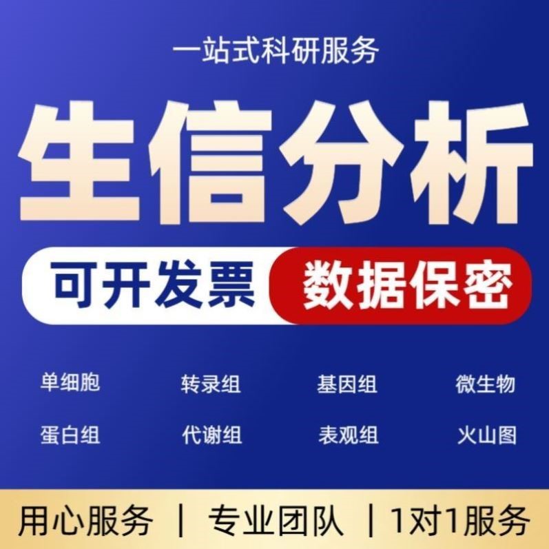 单细胞空间转录组 细胞亚群 空间分布 功能分析