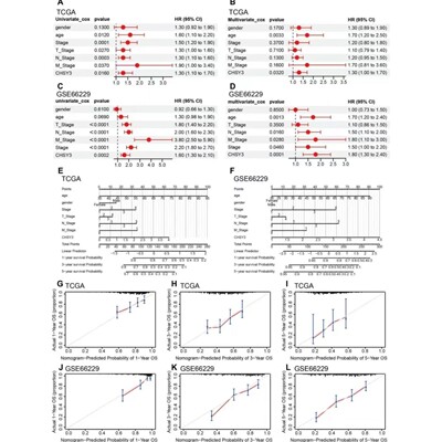 R语言代码Rstudio绘图SCI科研生信医学桑基热图数据分析作图教程