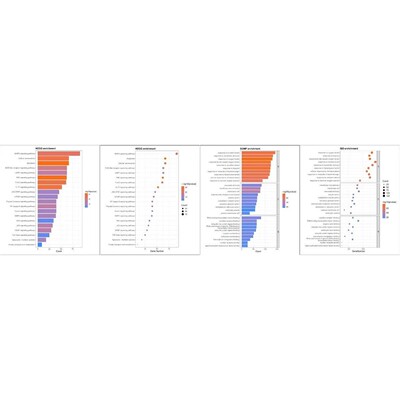药理学 网络药理学 网络药理学分析 Cytoscape PPI  Kegg Go 对接