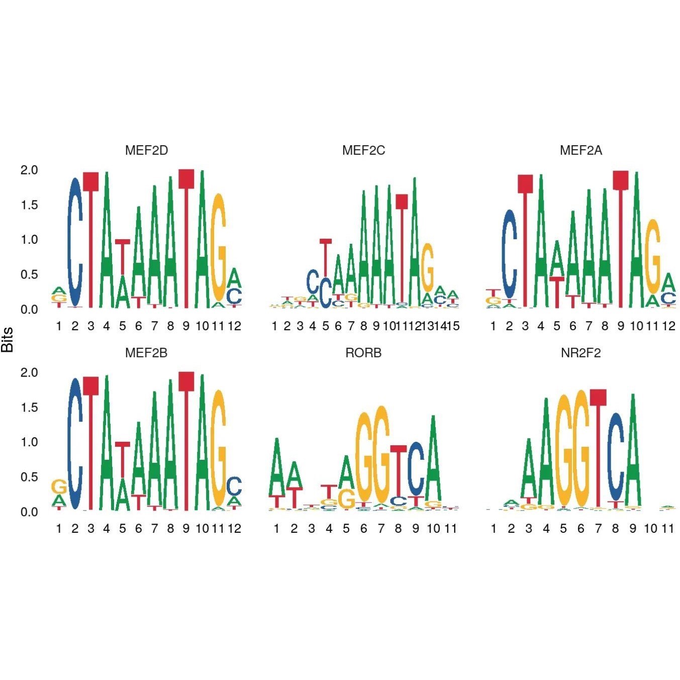 ChIP-seq/RIP-seq/CUT&Tag数据个性化分析生信分析表观遗传学