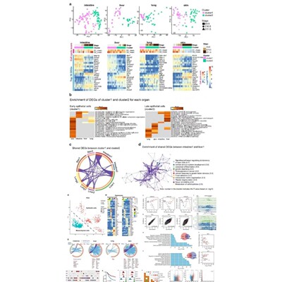 vasp/ms/cp2k/qe/dft代算/性原理计算 态密度 能带 模拟计算