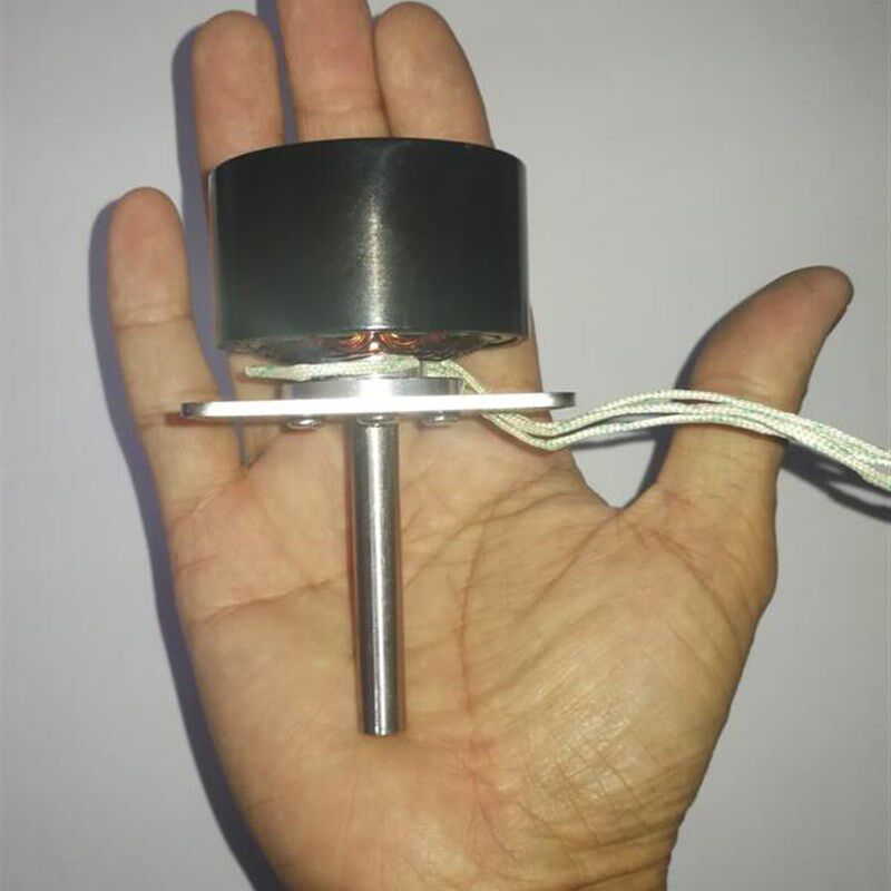 微型无刷三相永磁发电机 无刷马达30 60 100w水车风力发电12v 24v