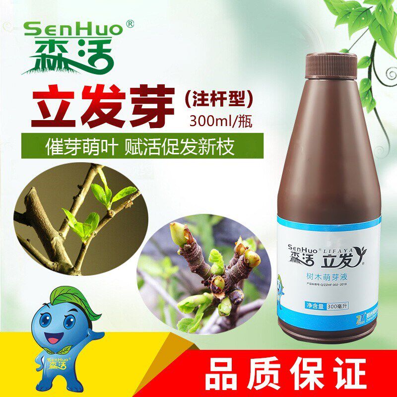 森活立发丫催芽液古树树干复活营养液激活液苗木移栽打破休眠