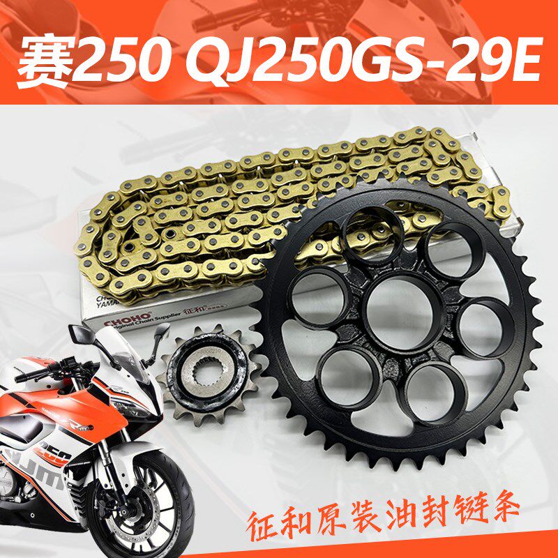 适用钱江赛250 QJ250GS-29E单摇臂大小牙盘链轮征和油封链条套链