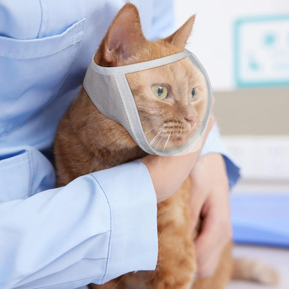 猫防咬面罩嘴套透明猫眼罩宠物防舔猫咪透气开口嘴套头罩宠物用品