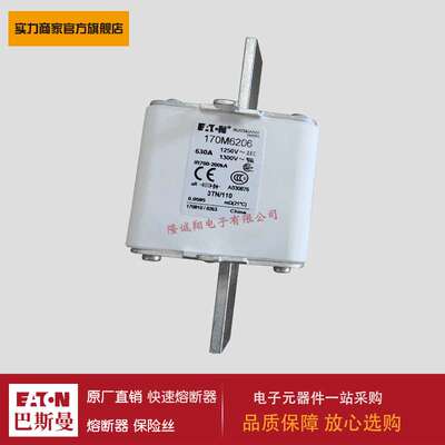 熔断器170M6203 170M6206 170M6207 170M6229 170M6256 170M6277