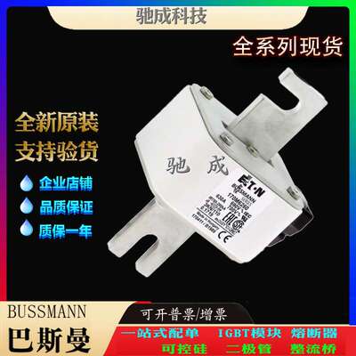 巴斯曼170M6259 170M6260 170M6261 大量现货优价供应  熔断器