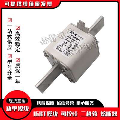 170M4536 170M4537 170M4538 170M4539 170M4540巴斯曼熔断器