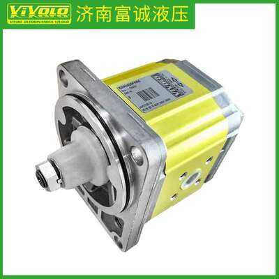 意大利VIVOLO液压泵X2P4702EBBA工业液压系统设计用高压齿轮泵
