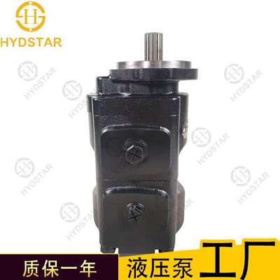 JCB高压双联齿轮泵20/925366 20/925586 333/C5234 333/G5392