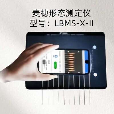 麦穗形态测定仪 型号：LBMS-X-II测量范围：5~20cm测量误差：±2%