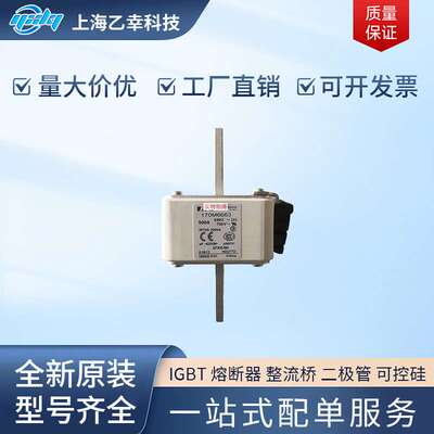 巴斯曼熔断器  170M6796 170M6797 170M6798 170M6799 170M6800
