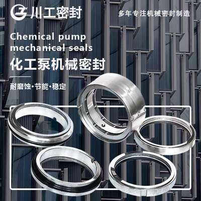 双断面机械密封 SAJ150-125-250\DY-HJK55-2 水泵机械水封哪里卖