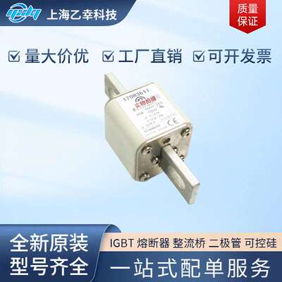 巴斯曼熔断器  170M3961 170M3965 170M3966 170M3967 170M3968