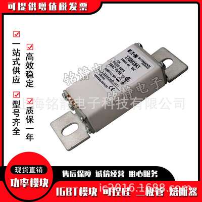 170M1845 170M1846 170M1847 170M1848巴斯曼熔断器现货170M1849