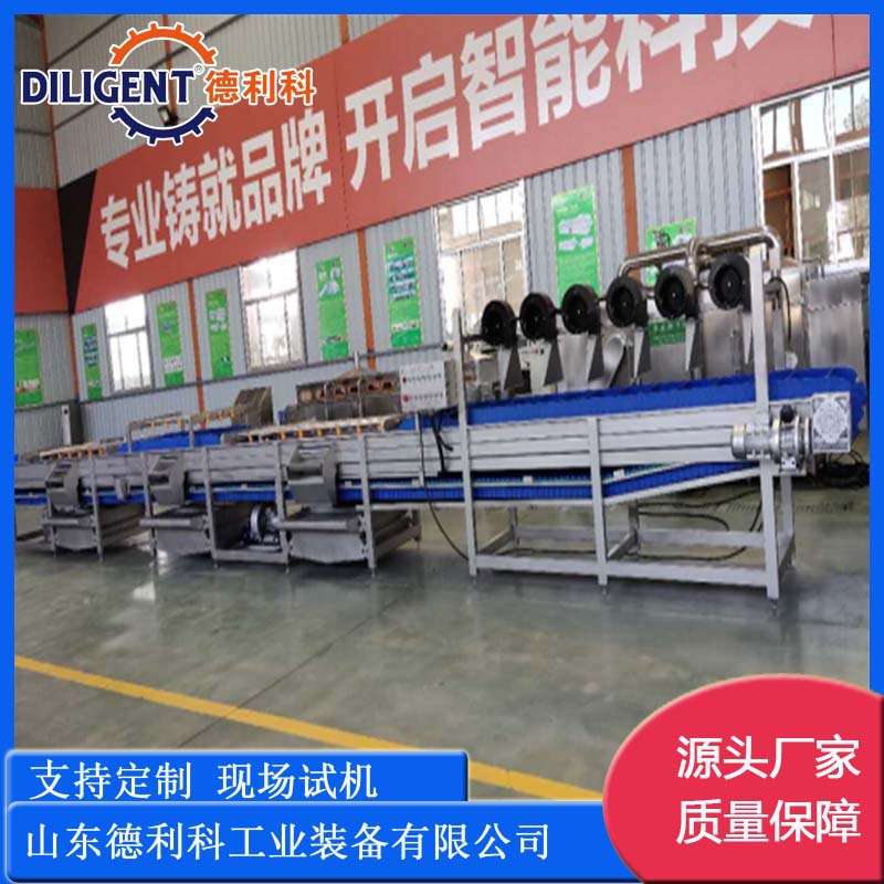 叶菜类清洗风干一体机水果气泡清洗设备全自动果蔬清洗流水线