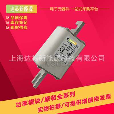 170M4214 170M4215 170M4216 170M4217 170M4218 170M4219熔断器