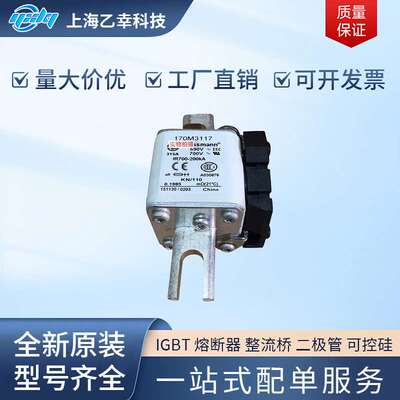 巴斯曼熔断器   170M3067 170M3068 170M3069 170M3070 170M3071