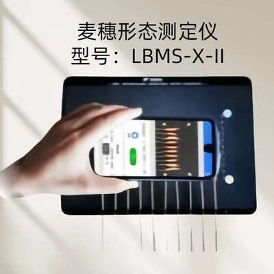 麦穗形态测定仪 型号：LBMS-X-II测量范围：5~20cm测量误差：±2%