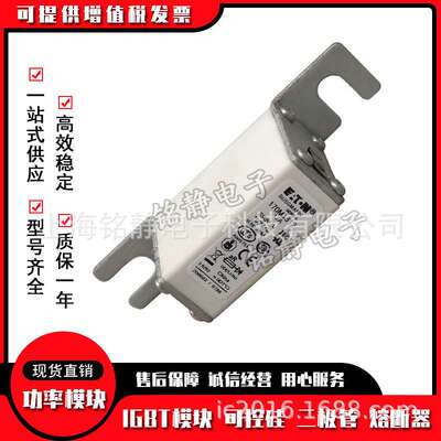 170M1308 170M1309 170M1310 170M1311巴斯曼熔断器170M1312现货