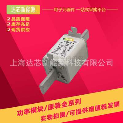 170M3758 170M3759 170M3760 170M3761 170M3762 170M3763熔断器