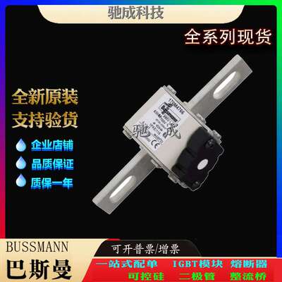 巴斯曼170M4759 170M4760 170M4761 经销  零售 低压保险丝