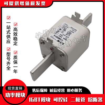 170M4068 170M4069 170M5058巴斯曼熔断器170M5059