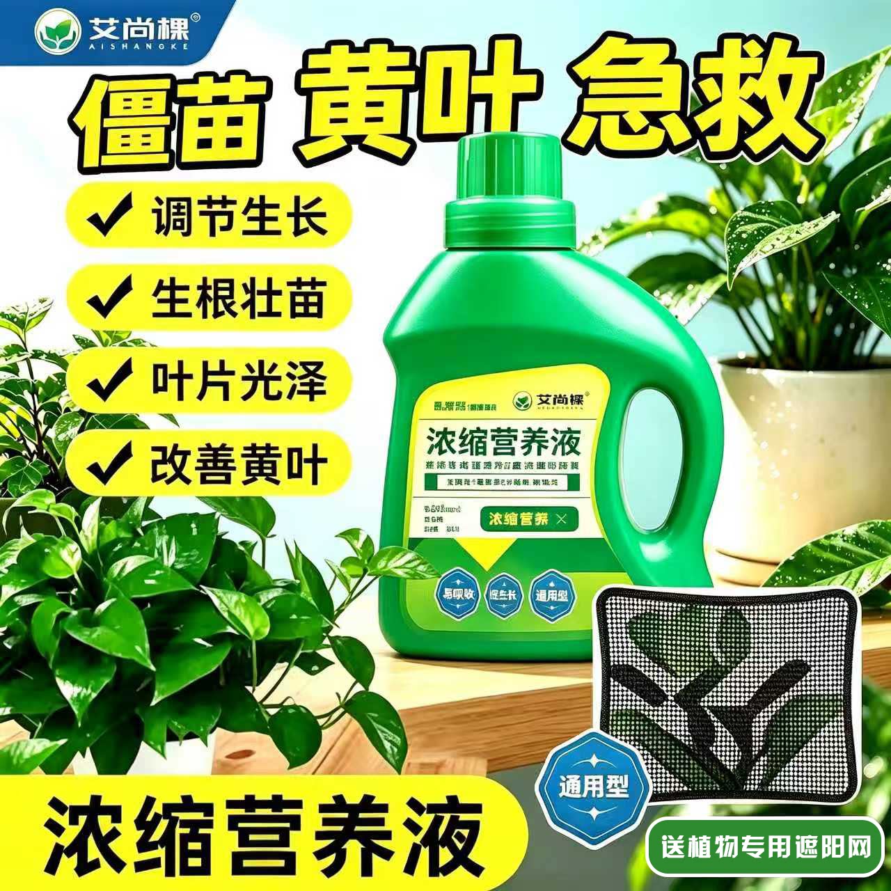 植物活力素营养液植物通用型肥料花卉绿植用室内水培营养液氨基酸