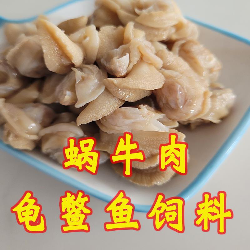 白玉蜗牛肉宠物乌龟甲鱼鳖观赏鱼的优质饲料粮食开口粮高蛋白肉食