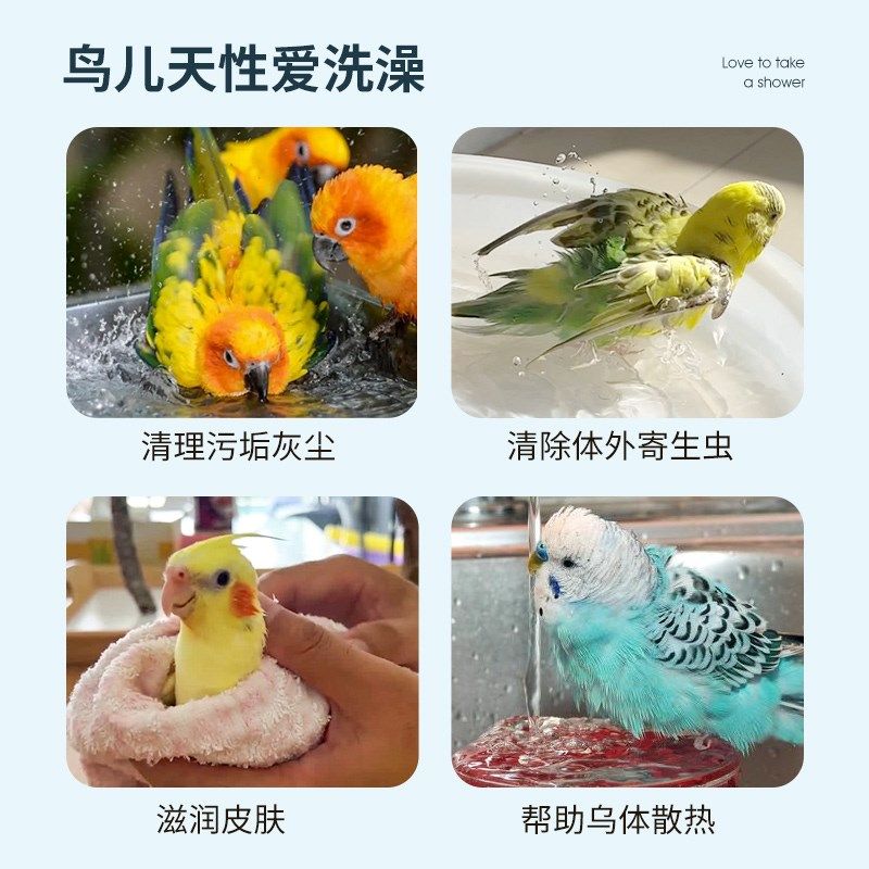 鸟用玄凤鹦鹉洗澡盆盒小鸟自动浴室八哥虎皮牡丹专用神器玩具用品