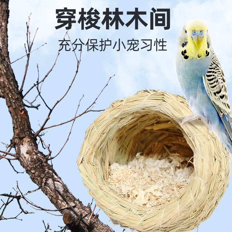 鸟巢繁殖箱木屑垫料 500克鸟禽用木屑刨花 再再牌