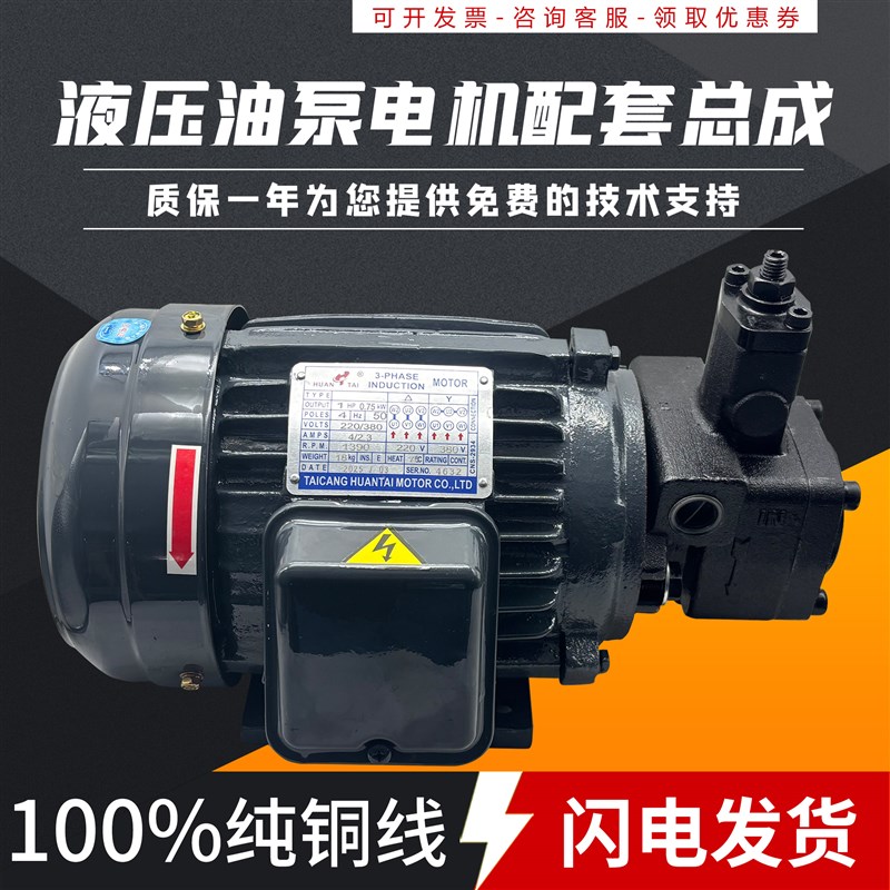 液压油泵配套电机组VP20+0.75KW 1.5 2.2总成内轴电机液压站系统