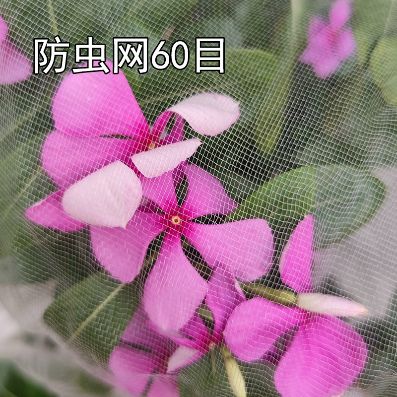 大棚养植防虫网种菜蔬菜纱网农用果树网罩加厚菜园家用蔬菜密网