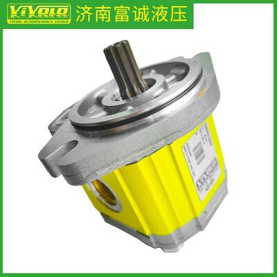 VIVOLO高压齿轮泵XV-2P/04cm3/rev X2P4152BBBA平键轴齿轮泵惠供