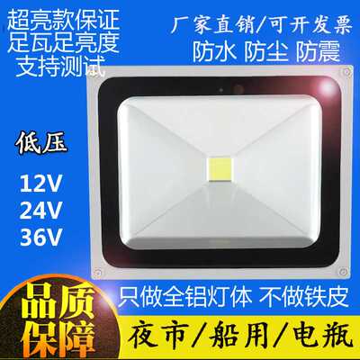 12V24V220V低压投光灯渔船灯直流电瓶夜市灯海上照明泛光灯36V48V
