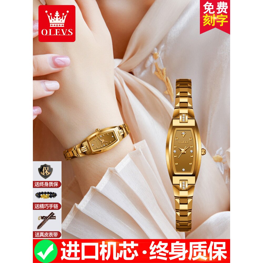瑞士认证正品名牌手表女士机械表全自动气质女式石英名表品牌十大