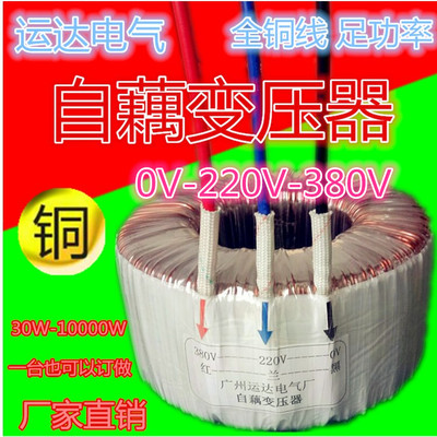 110V220V380V自耦变压器850W(VA)900W950W1000W1200W1500W(VA)