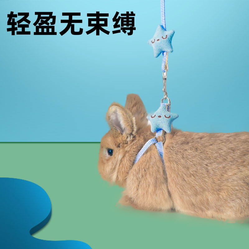 兔子牵引绳防挣脱可伸缩溜兔子神器可调节侏儒兔绳外出专用防咬