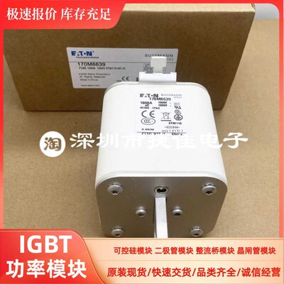 直拍170M8638 170M8639 170M8640 170M8650 170M8651熔断器