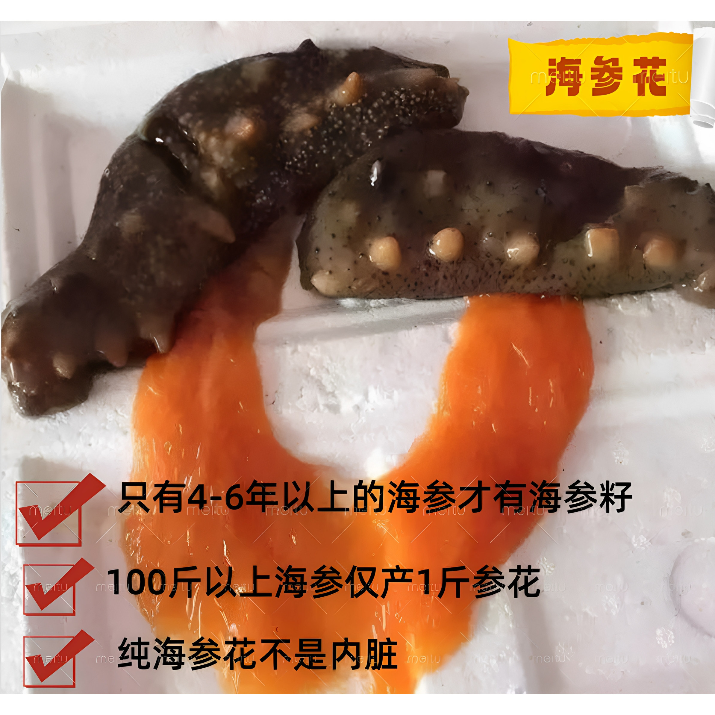 大连底播海参花深海海参籽海参卵肠性腺营养滋补新鲜冷冻包邮到家