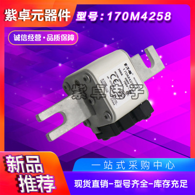 170M6258170M6259170M6260170M6261全新Bussmann熔断器保险丝
