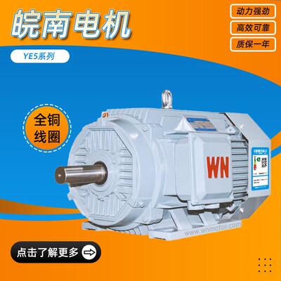 皖南电机YE5系列一级能效三相异步电机全铜线圈37kw45kw厂家直供