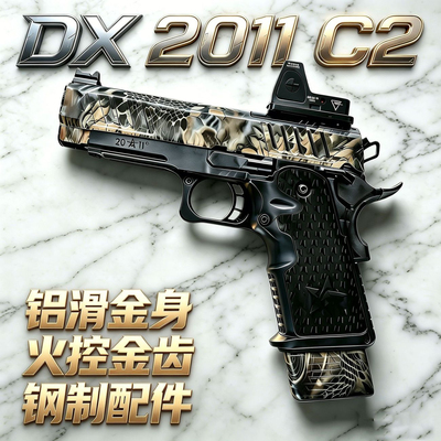 DX2011【第四批次C2】男孩礼物