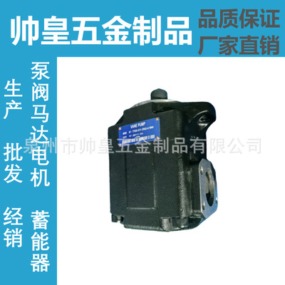 丹尼逊液压油泵T7DS-E31-3R02-A1MW叶片泵T7EDS/T7DDS E42 E38 1R