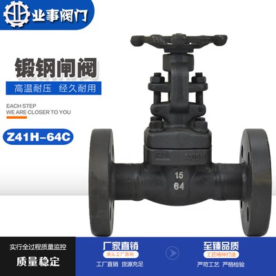 Z41H-64C锅炉化工冶金热电厂高压高温蒸汽导热油A105锻钢法兰闸阀